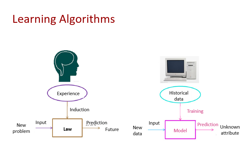 Introduction | Page Introduction | Page